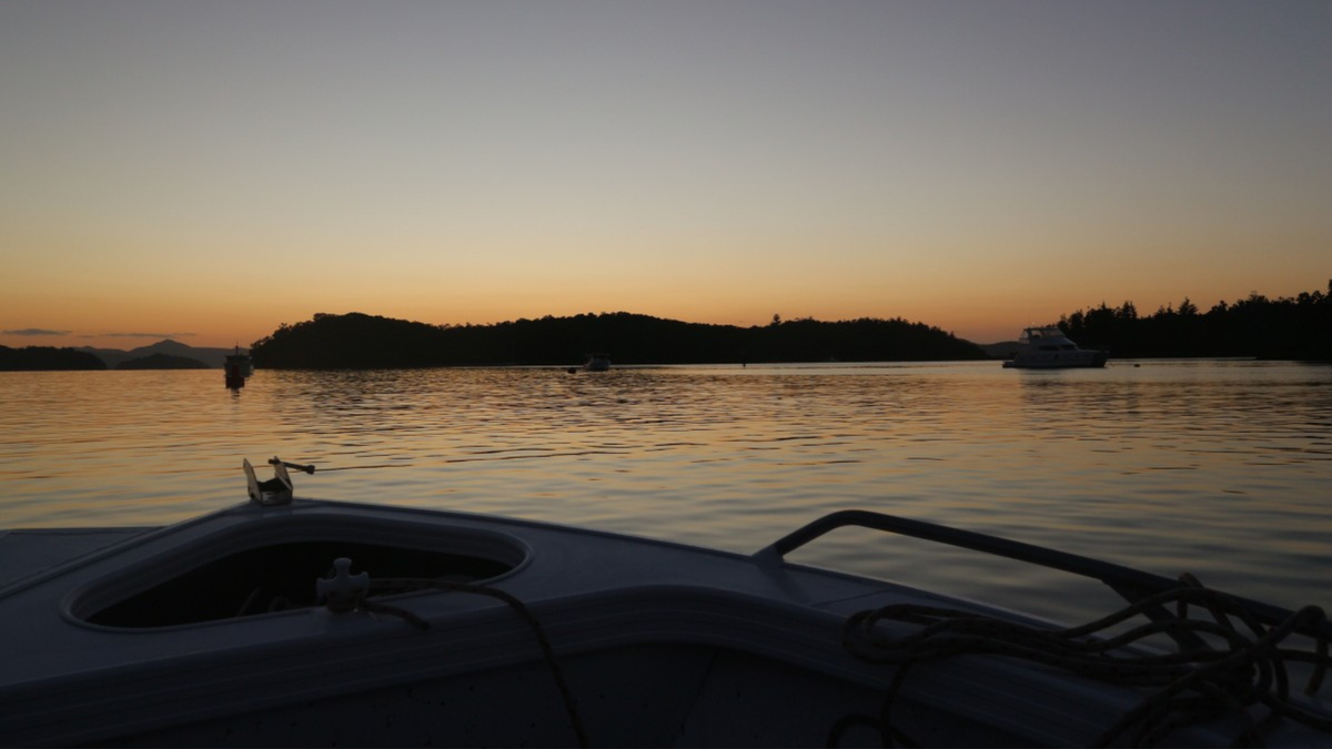 When the Sun Goes Down, the Real Tender Driving Begins — Seascope France